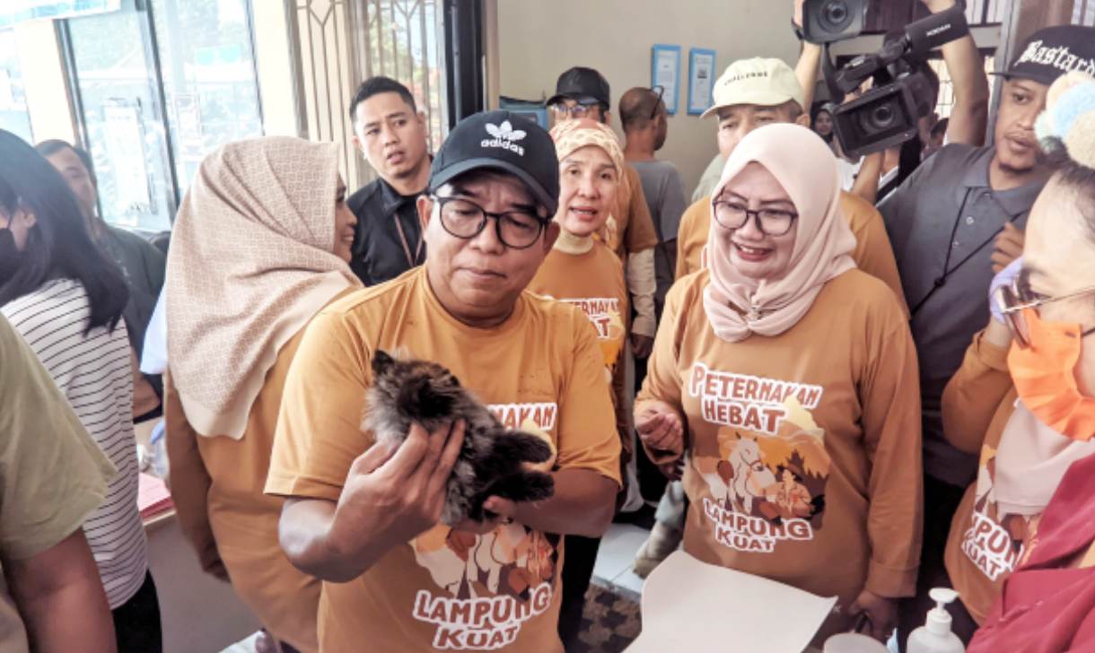 Pj Gubernur Lampung Dorong Pembangunan Sektor Peternakan dan ...